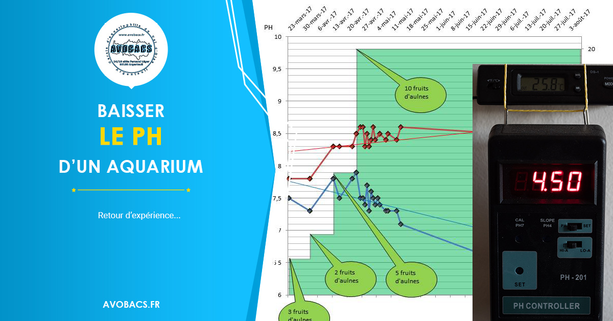 Comment baisser le PH de son aquarium